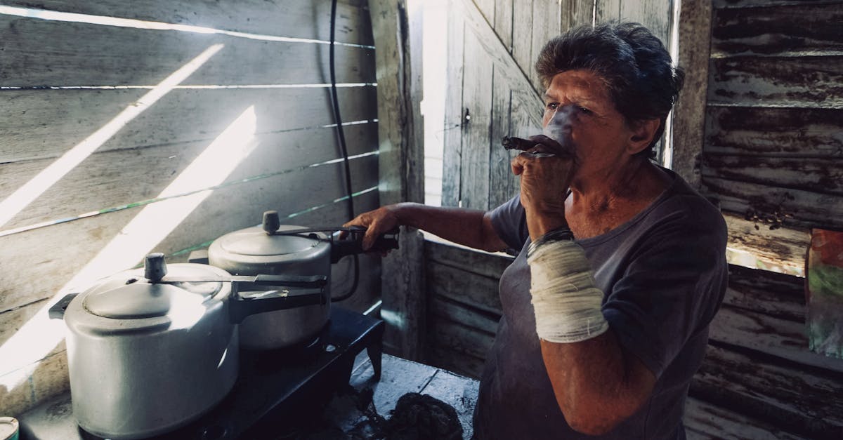 Cooking Smoker Basics and Delicious Serving Tips for Perfect BBQ ...